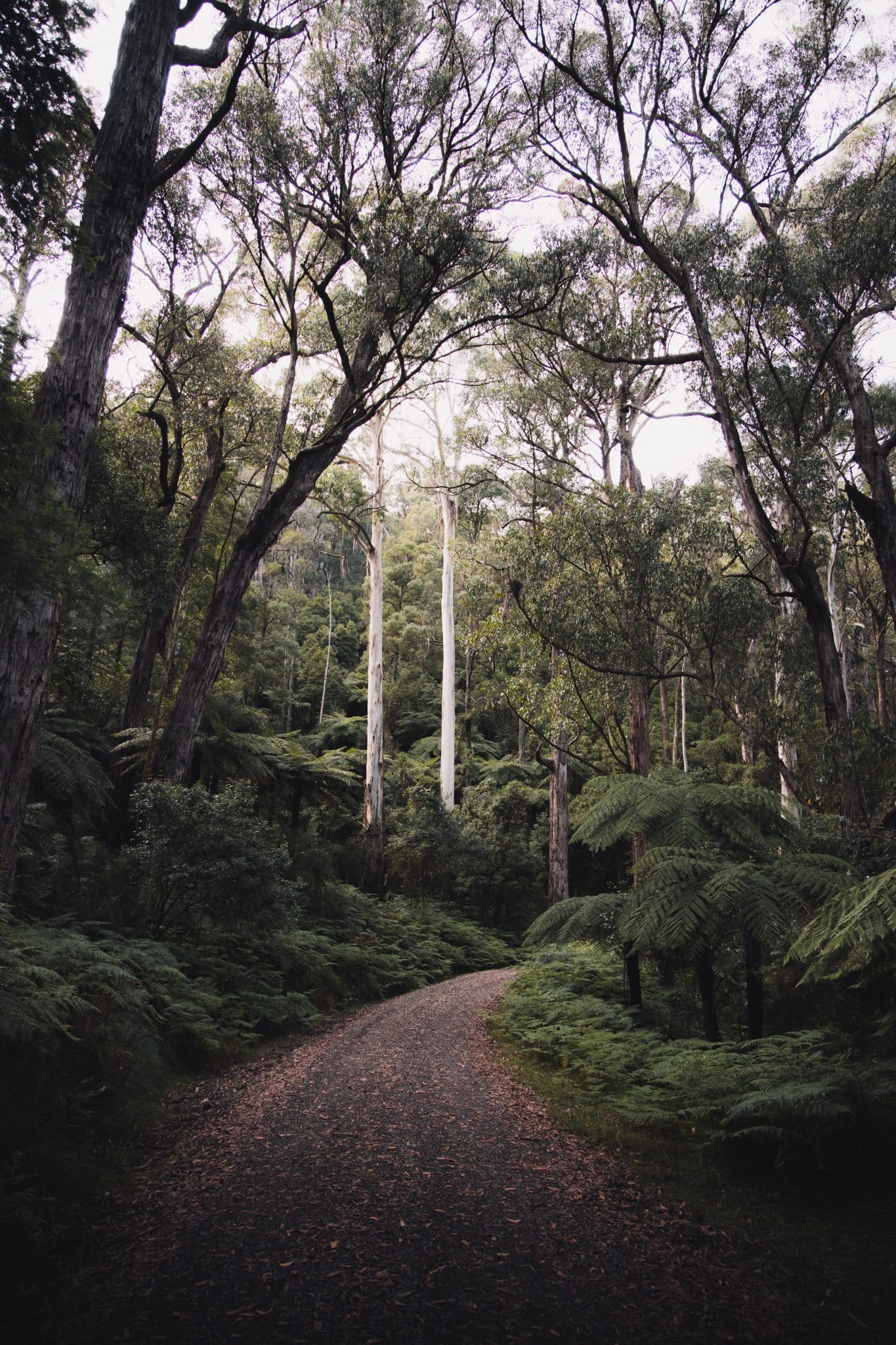 Regenerative and Sustainable Tourism Insights